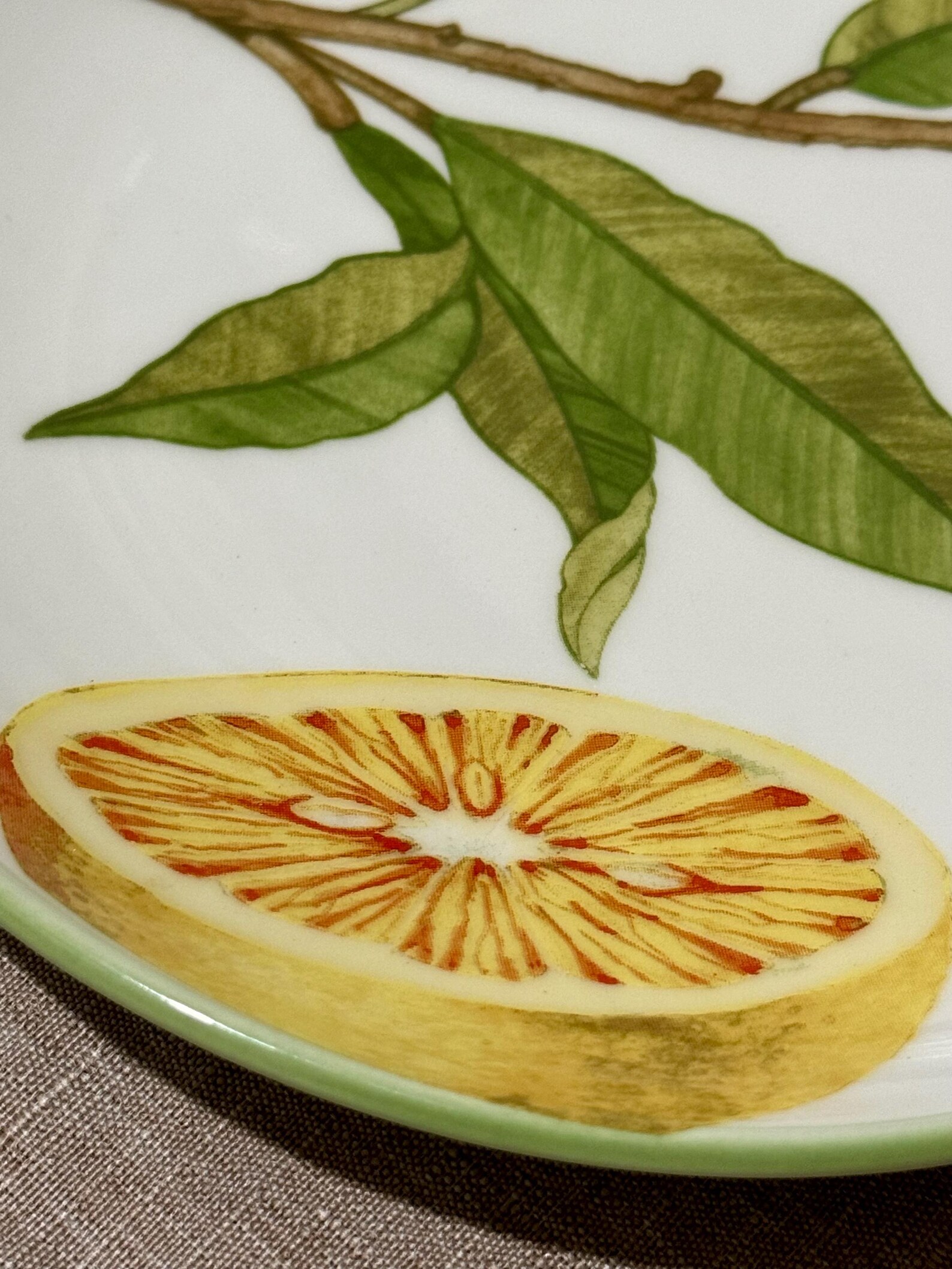 222 Fifth Frutta Lemon Plates Salad Plates Lemon Slice Branch With ...