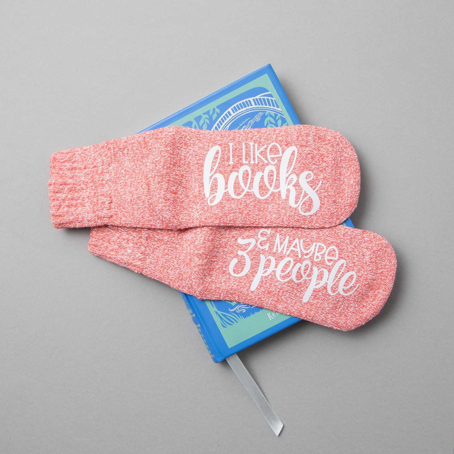 Book Socks. I Like Big Books, and I Cannot Lie. Christmas Gift for ...