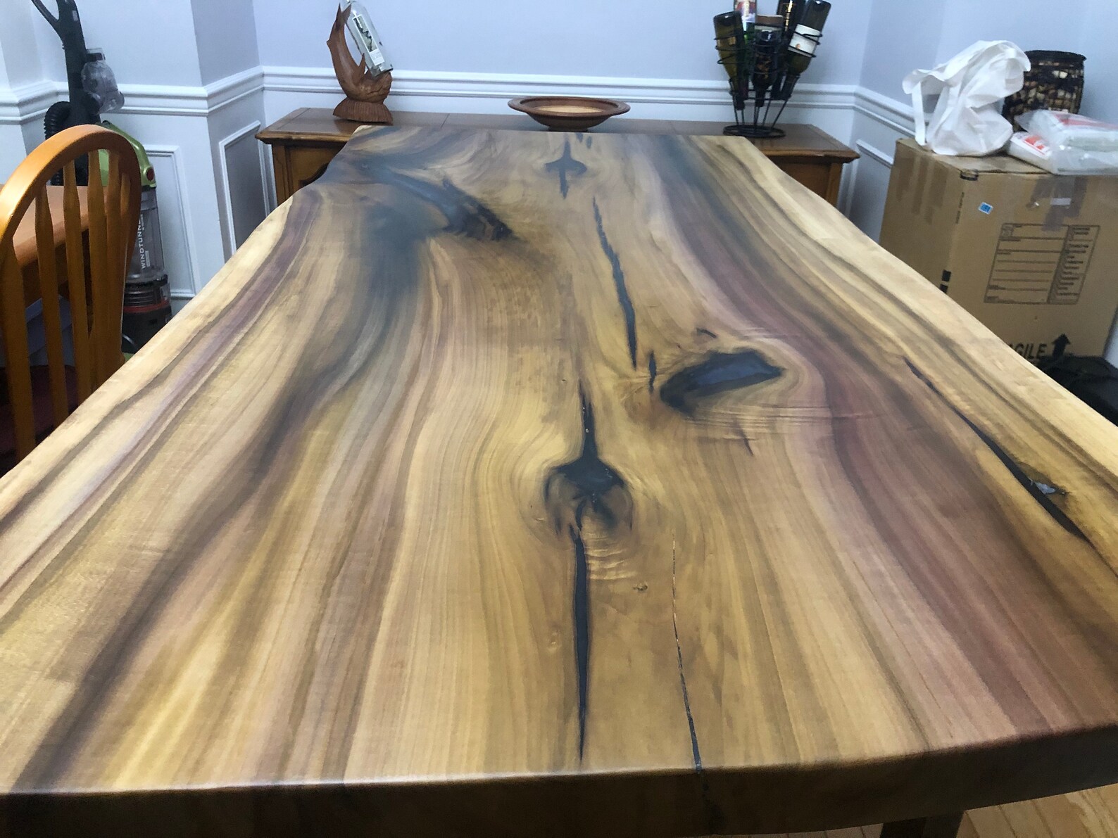 Tulip RAINBOW Poplar - Etsy