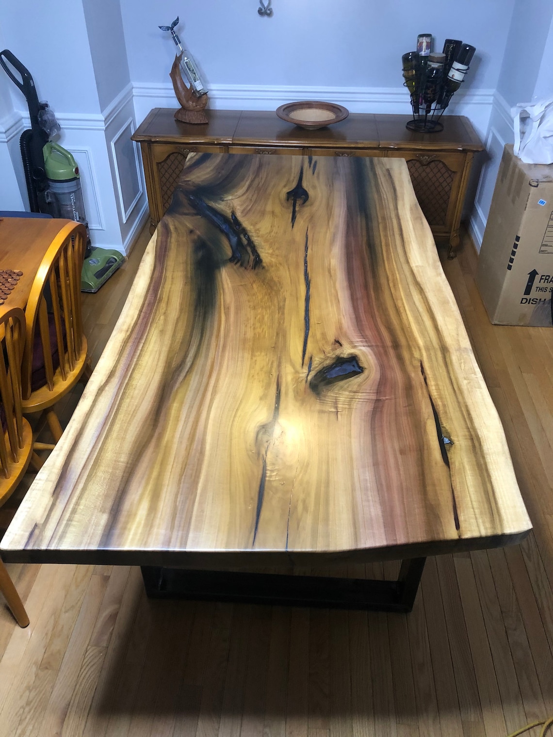 Tulip RAINBOW Poplar - Etsy