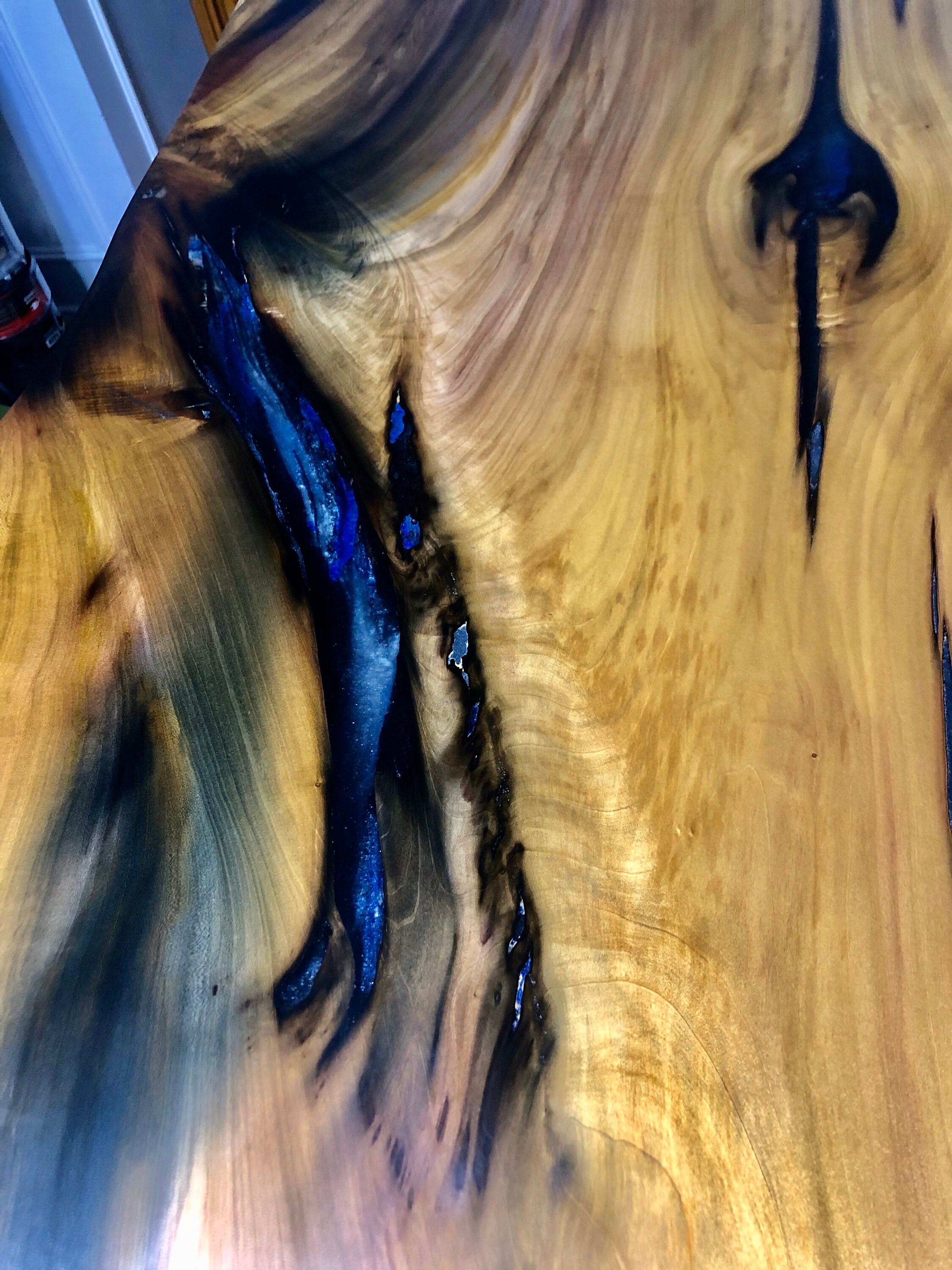 Tulip RAINBOW Poplar - Etsy