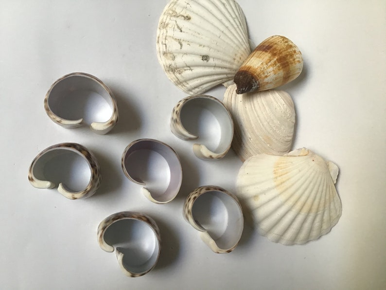 Seashell Napkin Rings Cowrie Shell Napkin Rings Set of 6 - Etsy