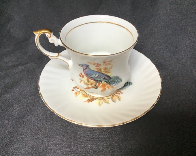 Tea Cup and Saucer Blue Jays Birds of America Teacup Vintage Queen’s ...