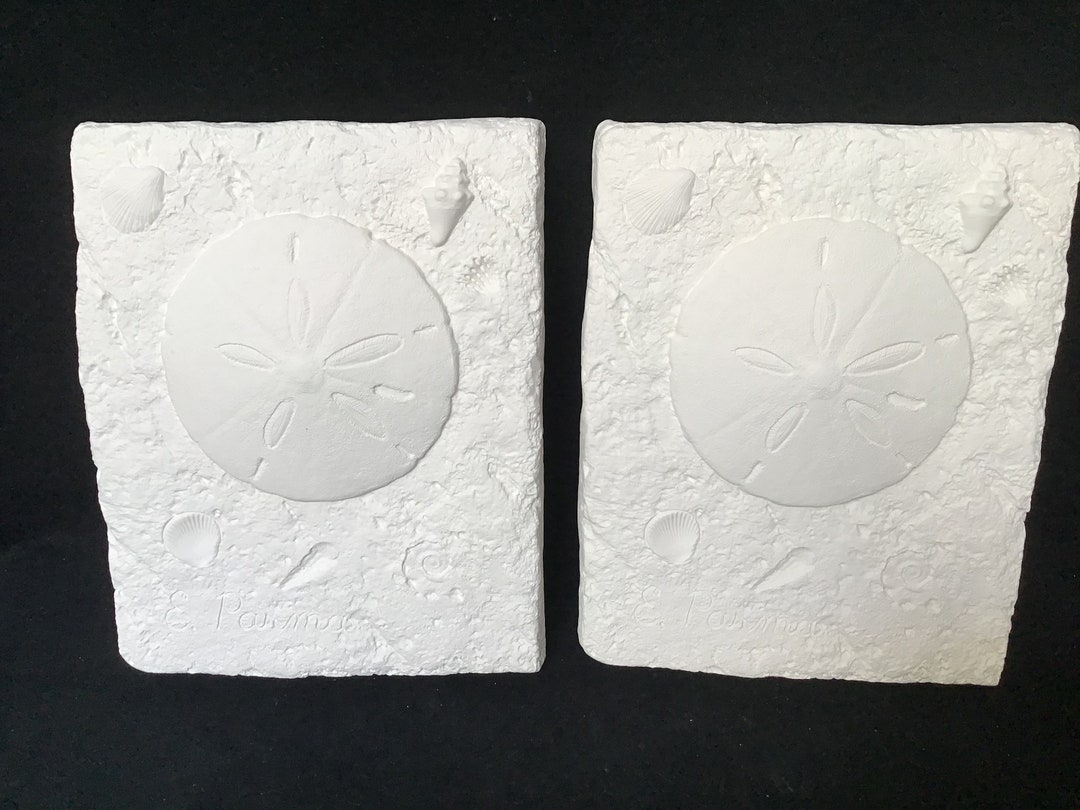 Ceramic Bisque Sand Dollar Wall Plaque Ready to Paint Nautical Decor - Etsy