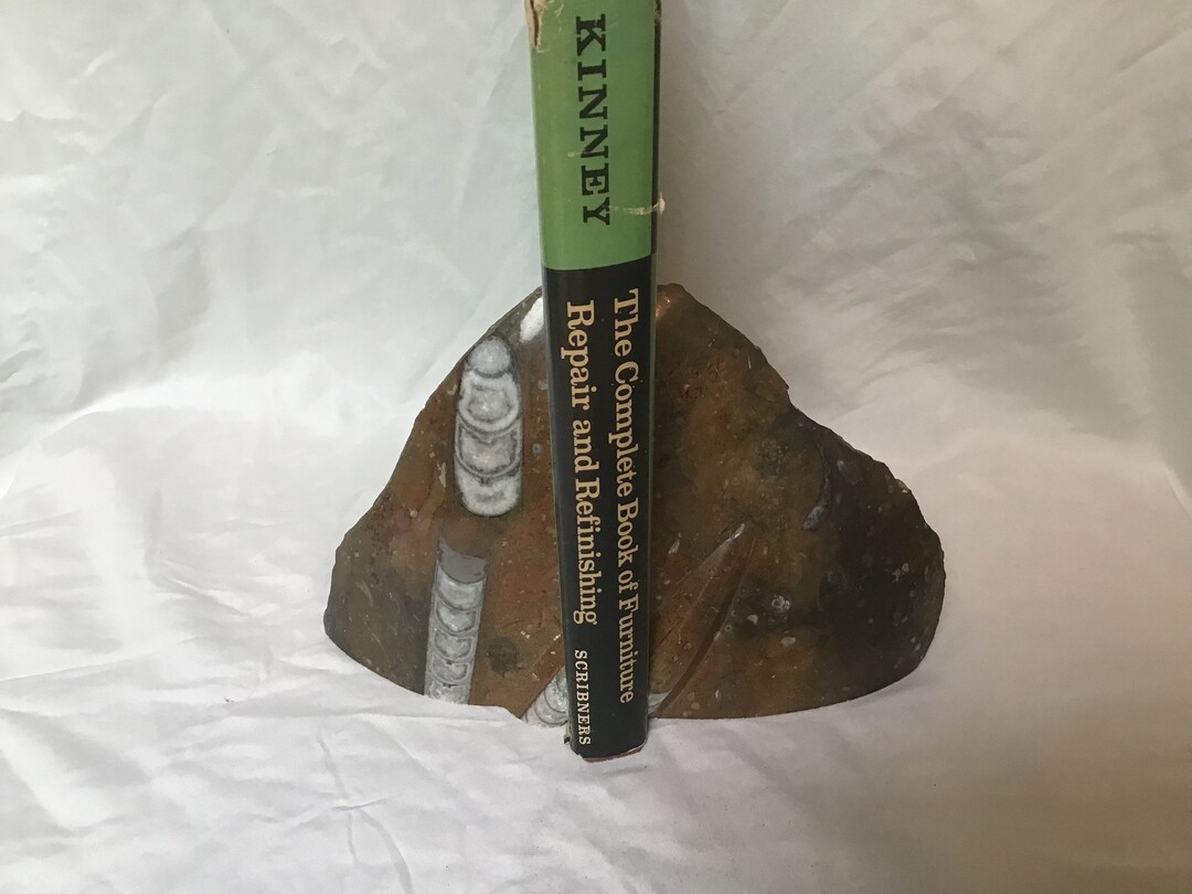 Fossil Bookends Fossilized Seashells Book Ends Ammonite Fossil - Etsy
