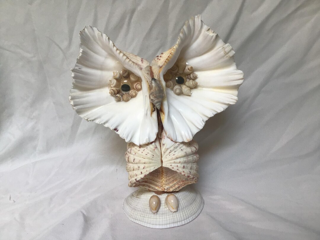 Seashell Owl Figurine Owl Made of Seashells - Etsy