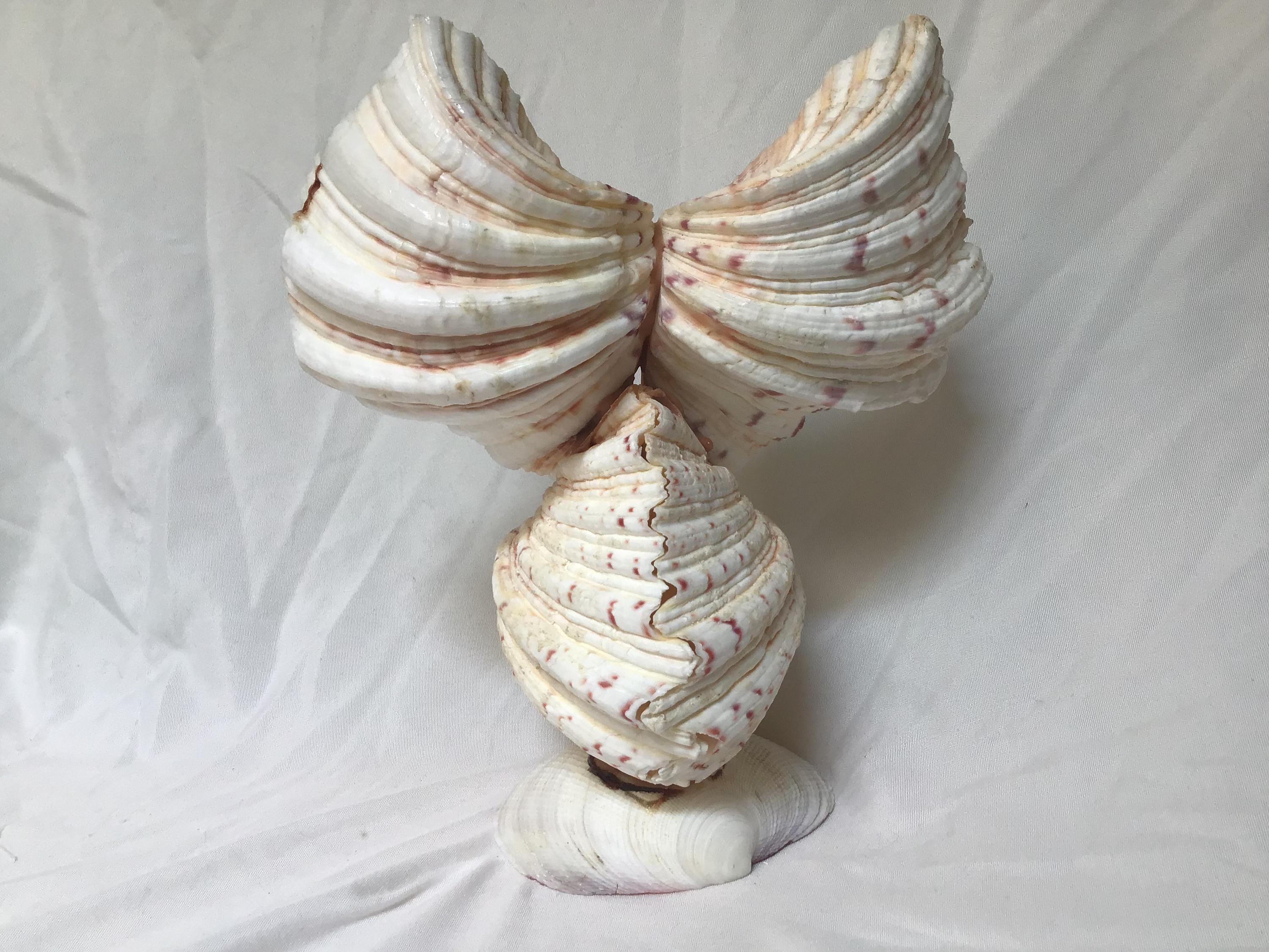 Seashell Owl Figurine Owl Made of Seashells - Etsy