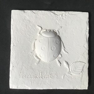 Ceramic Wall Plaques With Bee | Butterfly | Lady Bug | Dragonfly ...