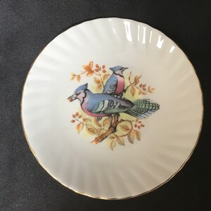 Tea Cup and Saucer Blue Jays Birds of America Teacup Vintage Queens ...