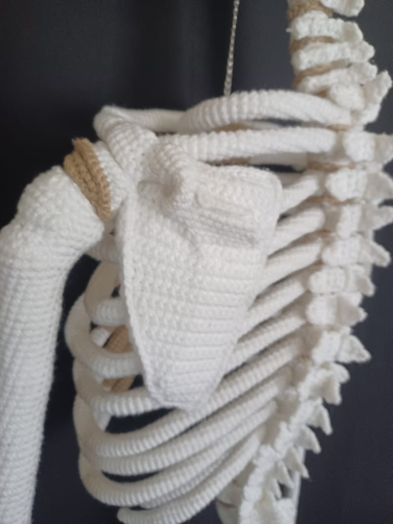 Crochet Ribcage Scapula and Clavicle Bones PATTERN ONLY!! - Etsy