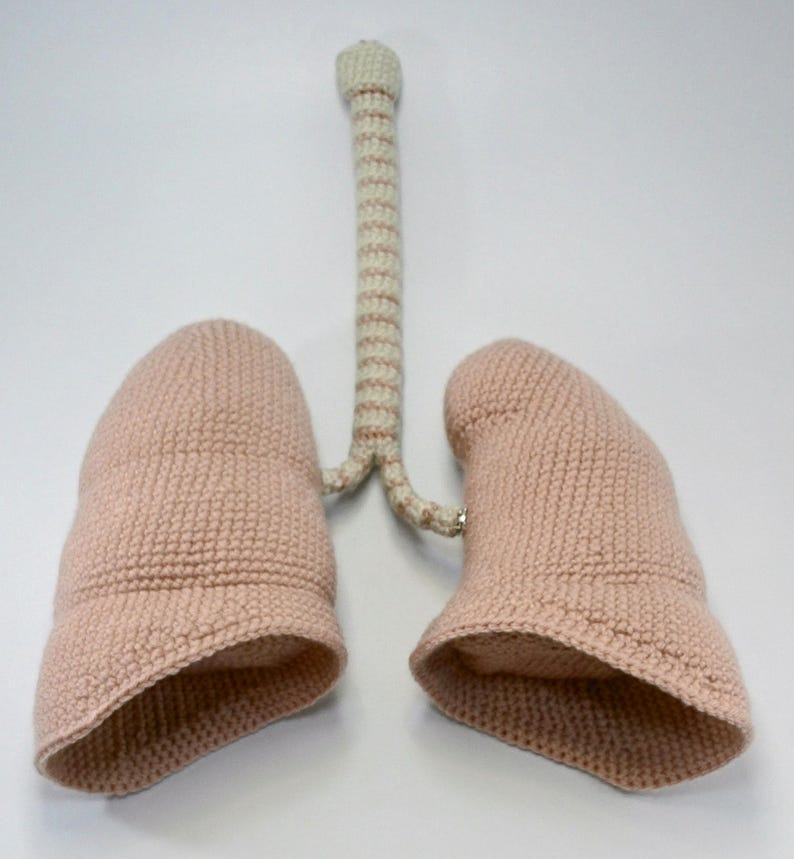 Crochet Human Lung and Trachea PATTERN ONLY - Etsy