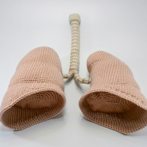 Crochet Human Lung and Trachea PATTERN ONLY - Etsy