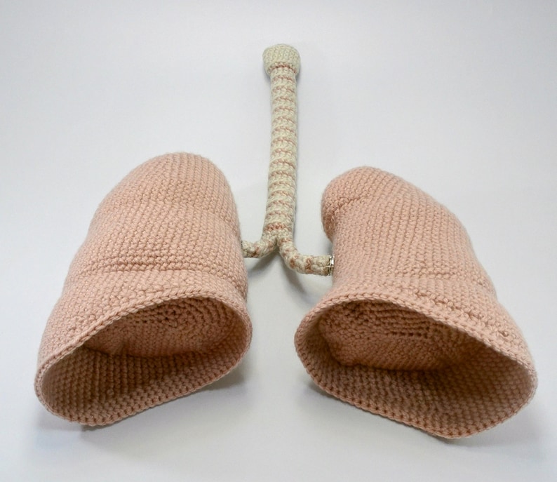 Crochet Human Lung and Trachea PATTERN ONLY - Etsy