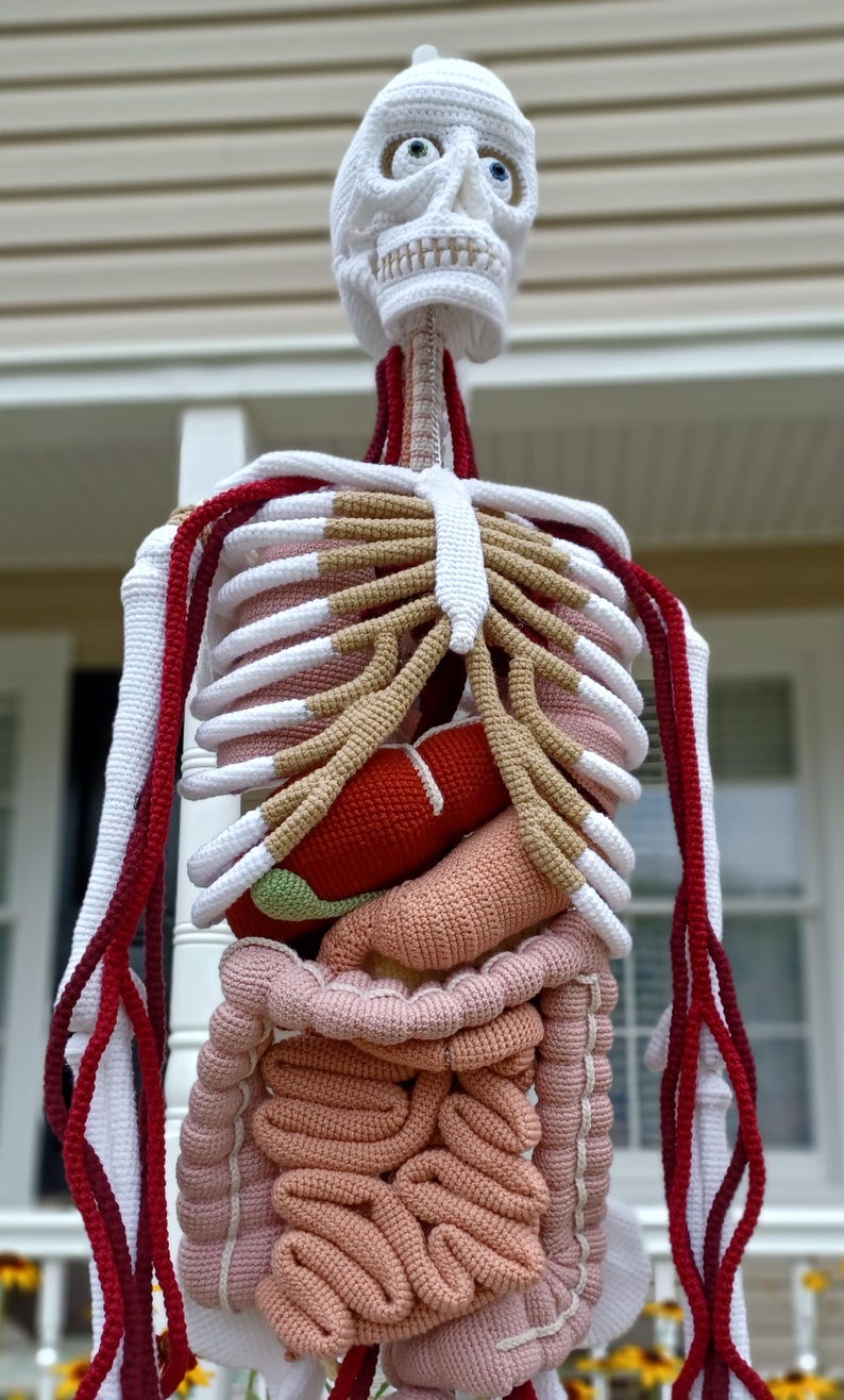 Crochet Human Organs Bundle Pack PATTERNS ONLY!! - Etsy