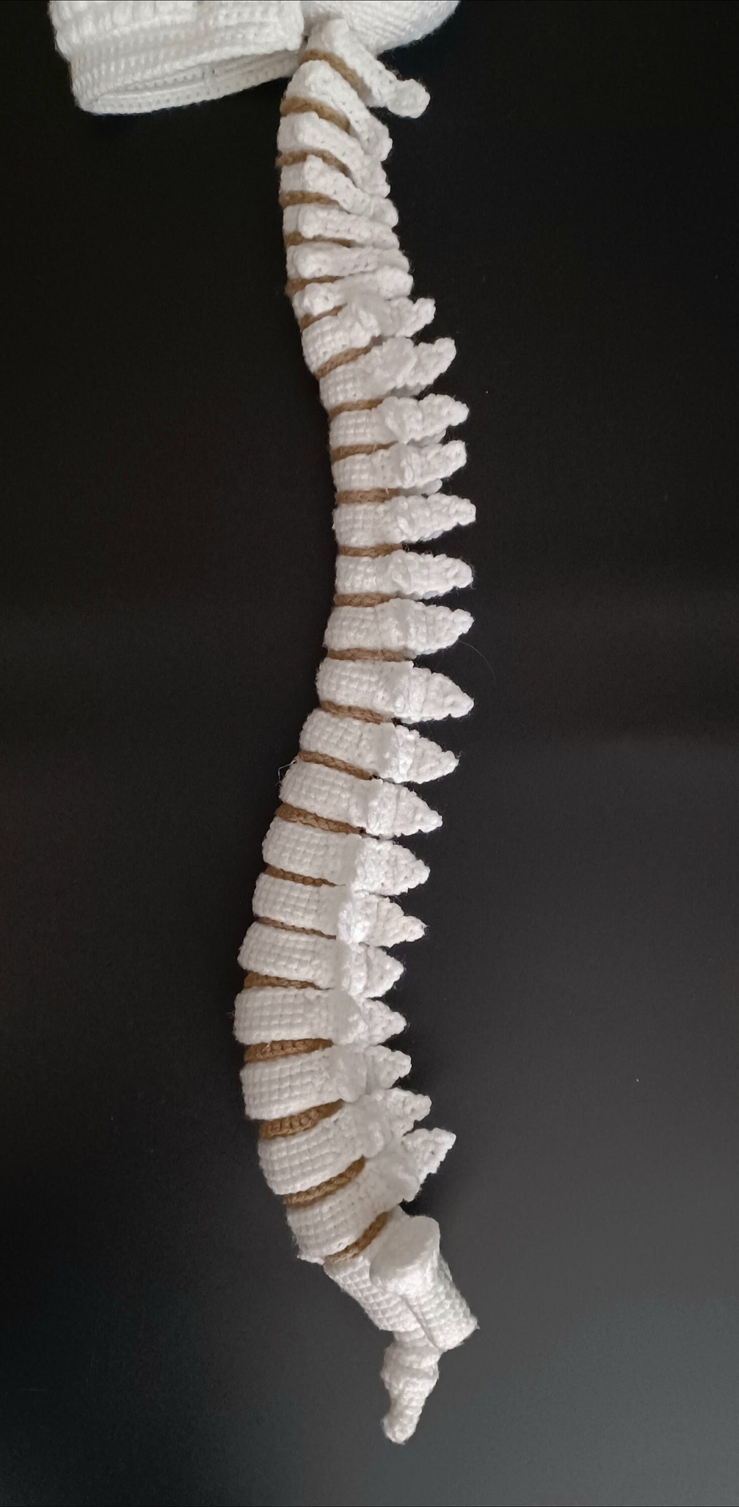 Human Spine Crochet PATTERN ONLY! - Etsy