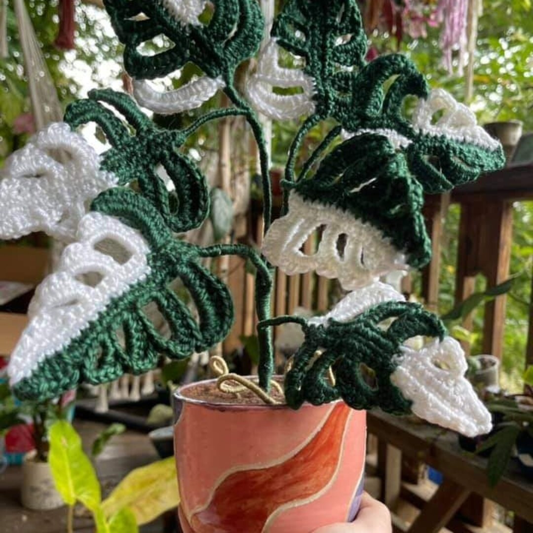 Crochet Monstera PATTERN ONLY - Etsy