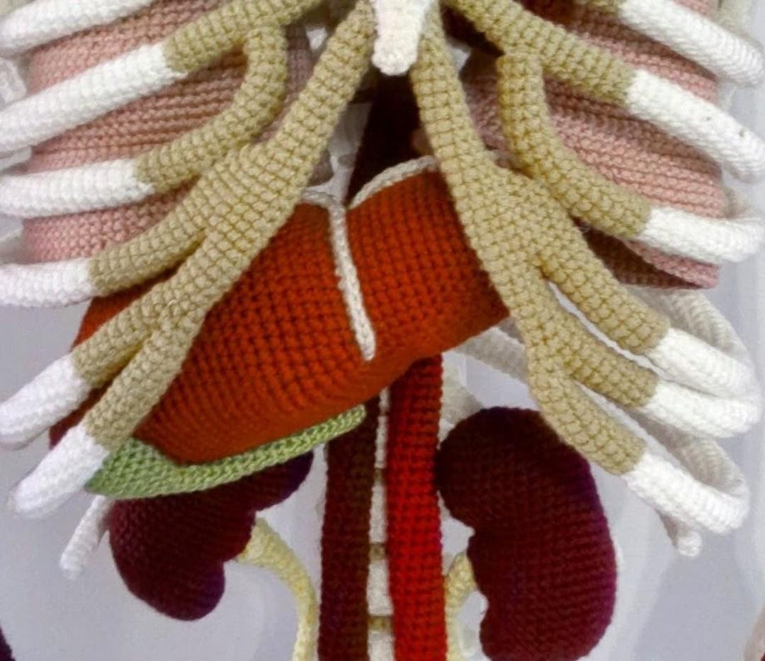 Crochet Liver PATTERN ONLY! - Etsy