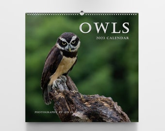 2023 Owl Wall Calendar - Etsy