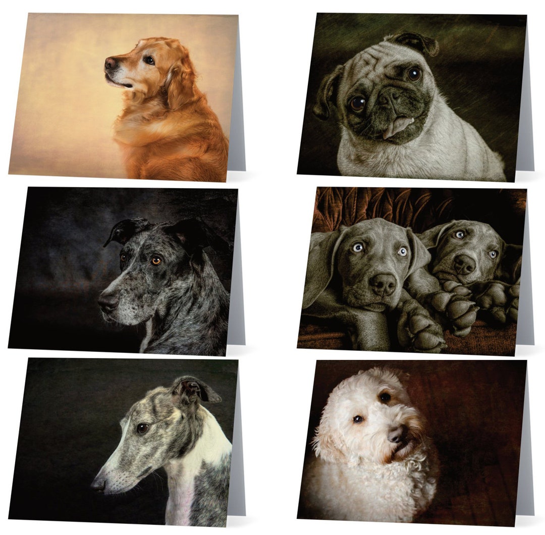 Dog Cards - Pack of 6 Different Blank Note Cards - Etsy