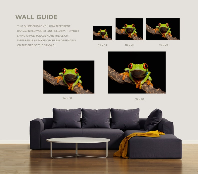 Red-eyed Tree Frog Canvas Wall Art - Etsy