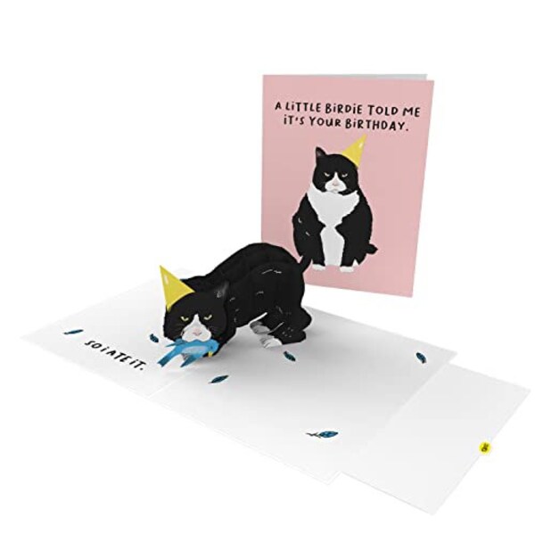 Cat Pop up Card - Etsy