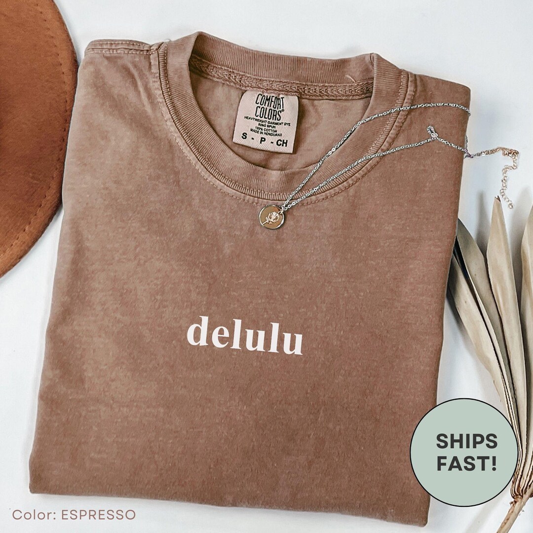 Delulu Shirt Gift Delulu is the Solulu Shirt Best Friends Day Internet ...