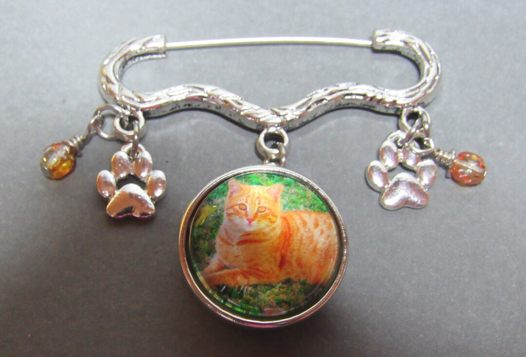 Orange Tabby Cat Brooch Pin,free Shipping,orange Tabby Cat Snap Photo ...