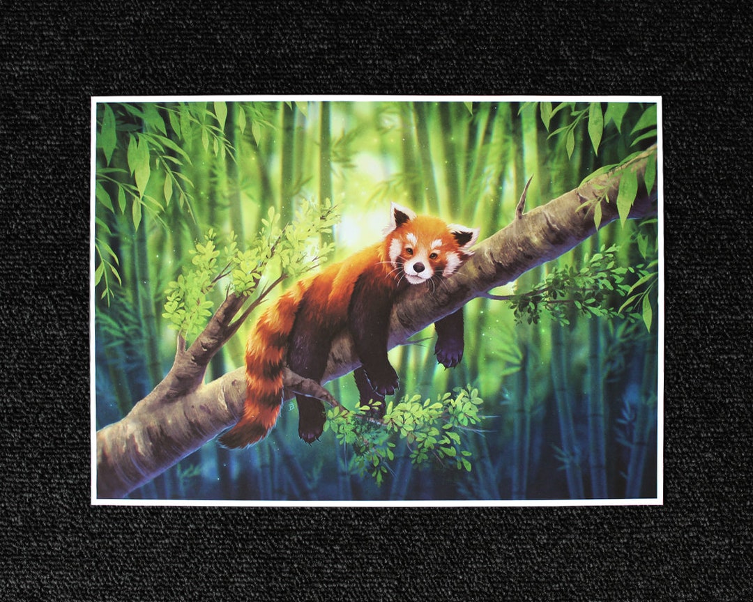 Red Panda - A4 Print - Etsy