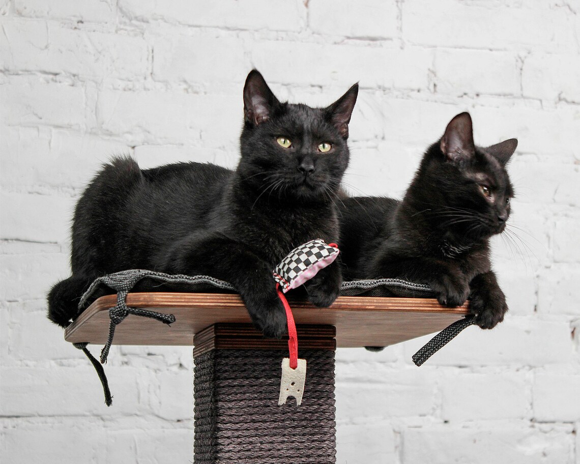 Modern Cat Furniture Stylish Cat Tree With Perch Cat - Etsy