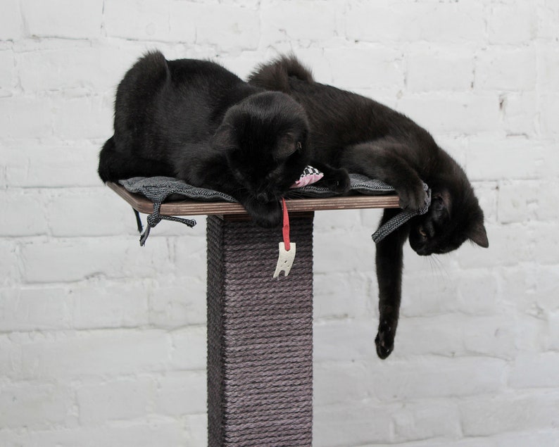 Modern Cat Furniture Stylish Cat Tree With Perch Cat | Etsy UK