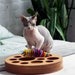 Cat Toys Push'n'ring. Interactive Cat Toy Best Cat - Etsy