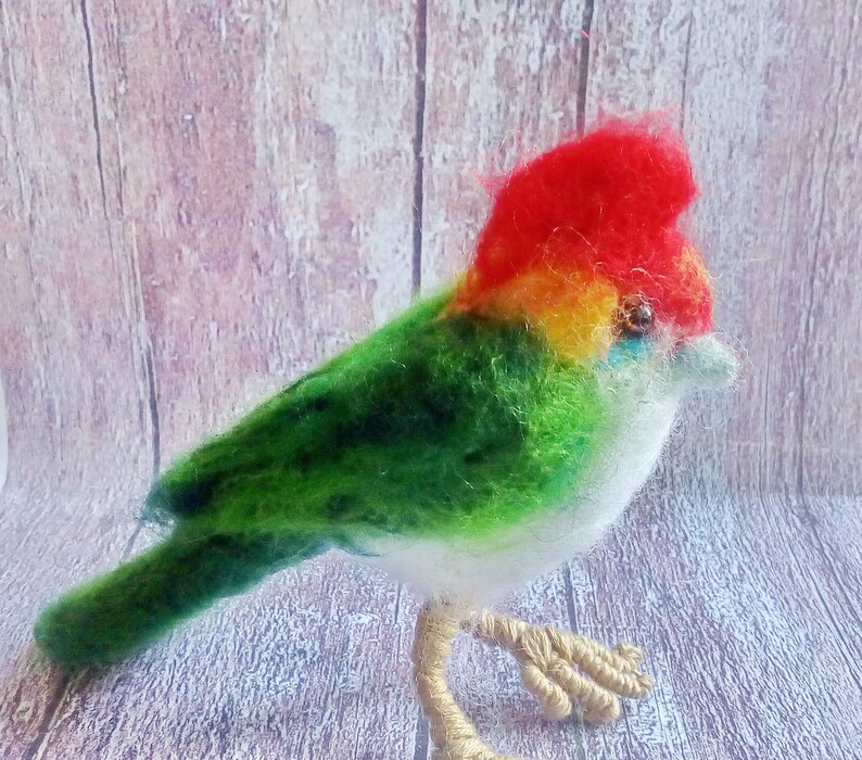Needle felted colorful bird. Needle felted Animal. Needle | Etsy