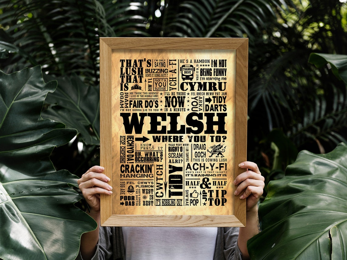 Traditional Funny Welsh Sayings Giclee Print or Canvas | Etsy UK