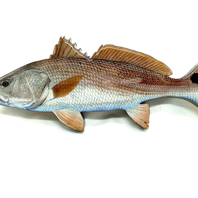 Wooden Fish Wall Decor - Etsy