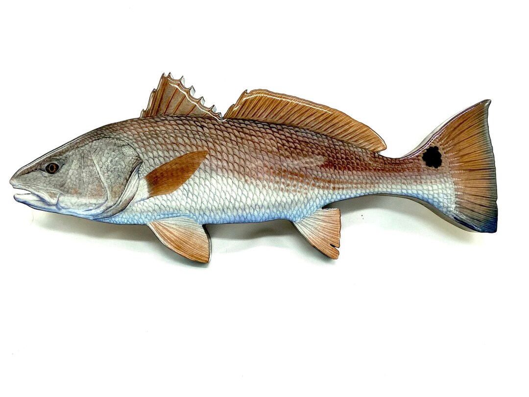 Redfish Wooden Wall Decor - Etsy
