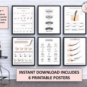 Lash Extension Training Posters, Lash Placement Guide, Lashes Aftercare ...