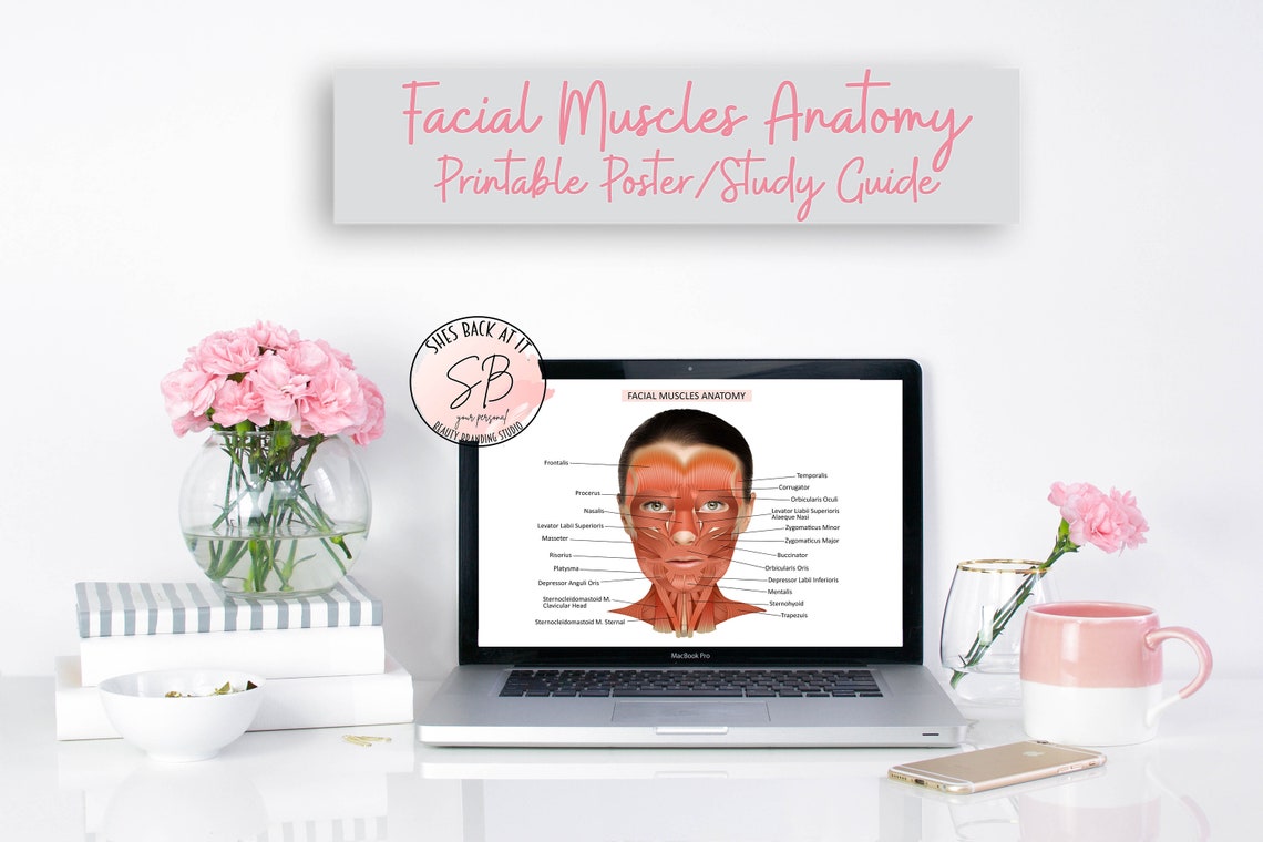 Muscles of the Face and Neck, Botox Art, Injector, Anatomy, Aesthetics ...