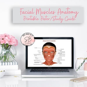 Muscles of the Face and Neck, Botox Art, Injector, Anatomy, Aesthetics ...