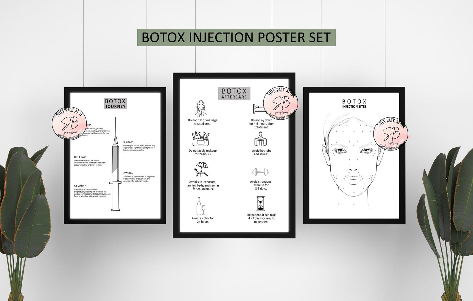 Botox Journey Poster Set of 3, Training Poster, Botox Injection Site ...