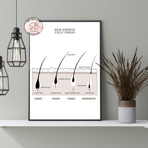 Hair Stylist Posters, Hair Type Guide, Hair Growth Cycle Print, Damaged ...