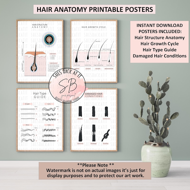 Hair Poster - Etsy