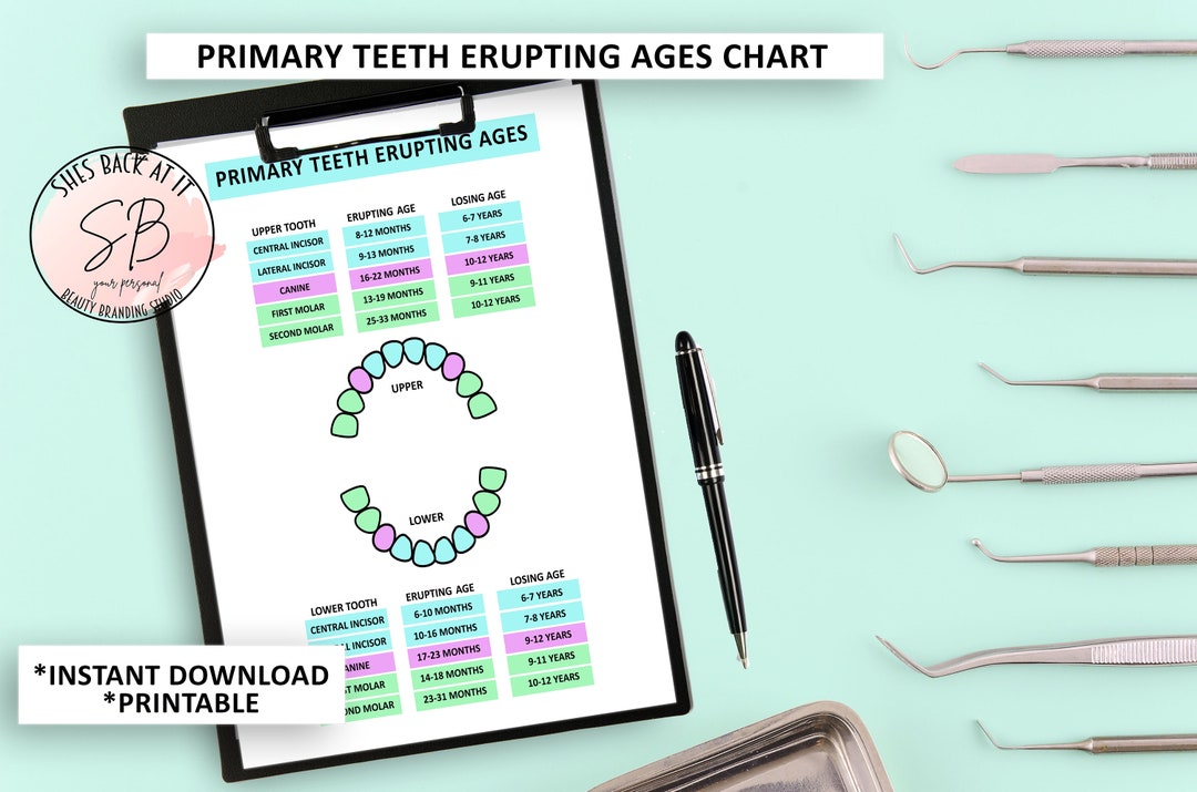 Primary Teeth Eruption Chart, Baby Teeth Eruption Ages, Tooth ...