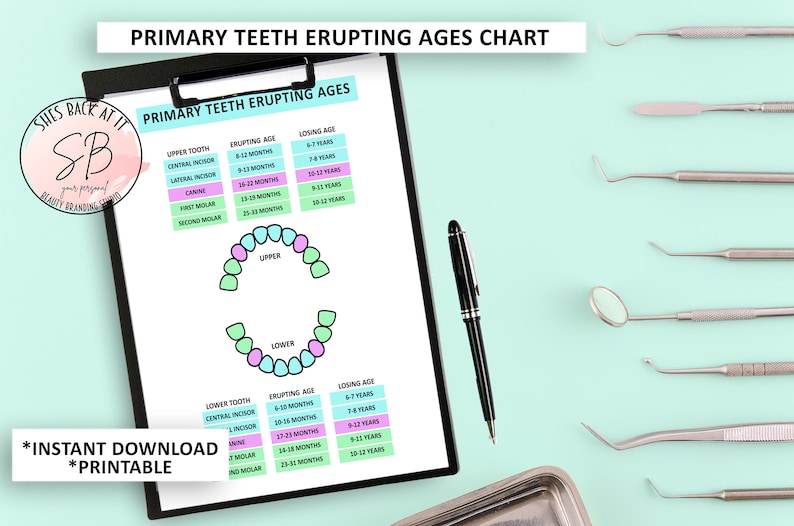 Primary Teeth Eruption Chart Baby Teeth Eruption Ages Tooth - Etsy ...
