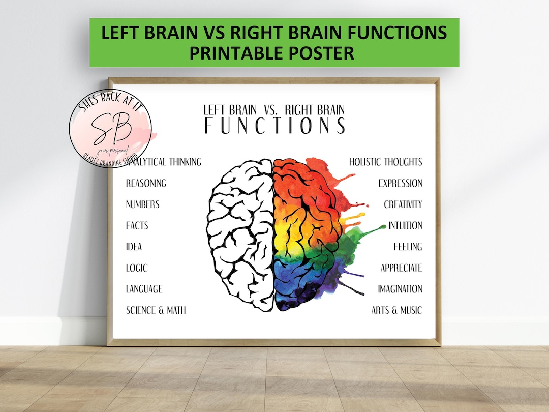 Left and Right Brain Functions Printable Poster, Brain Anatomy Wall ...