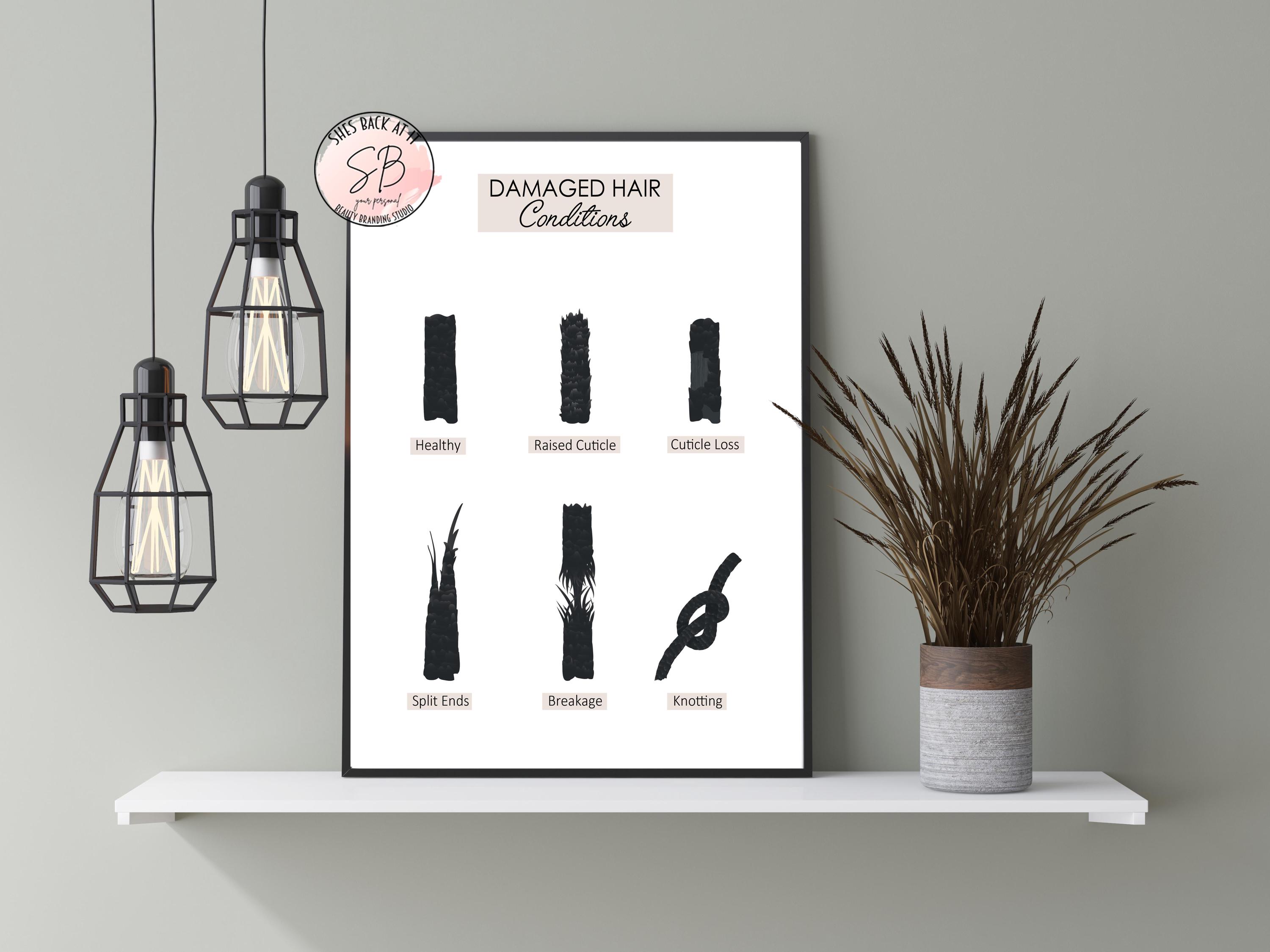 Hair Stylist Posters, Hair Type Guide, Hair Growth Cycle Print, Damaged ...