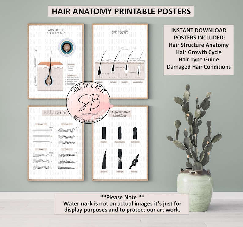Hair Stylist Posters, Hair Type Guide, Hair Growth Cycle Print, Damaged ...