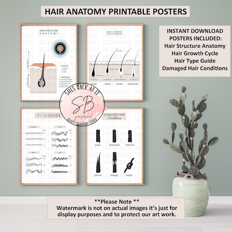 Black Hair Salon Hair Type - Etsy UK