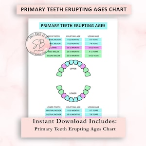 Primary Teeth Eruption Chart, Baby Teeth Eruption Ages, Tooth ...