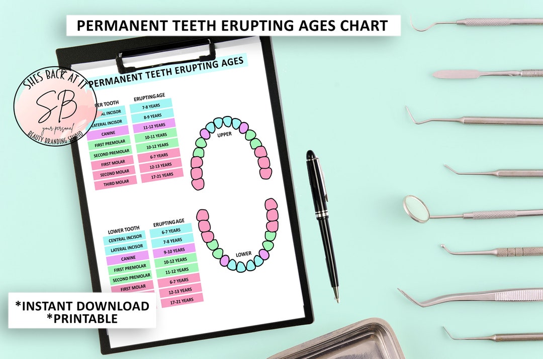Permanent Teeth Eruption Chart, Adult Teeth Eruption Ages, Tooth ...