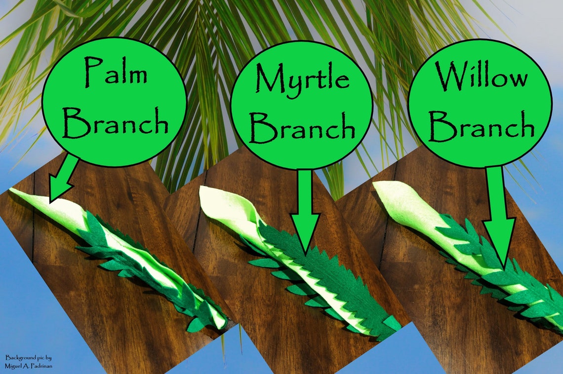 Lulav/four Species Felt Toy - Feast of Tabernacles Kid's Toy - Etsy